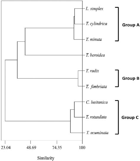 Hierarchical Cluster Analysis Complete Linkage Euclidean Distance