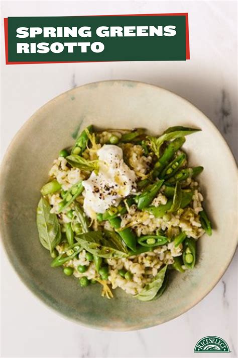 Spring Greens Risotto Risotto Recipe Riceselect® Recipe Risotto