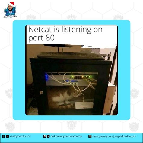 dr ikhalia cyber bootcamp on linkedin when netcat starts listening