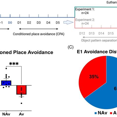 A Experimental Timeline For Experiment 1 Experiment 2 Timeline Is Download Scientific