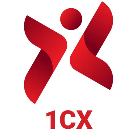 Ids Indonesia Technology Services And Consulting Company