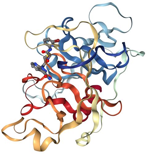 Factor D General Information Sino Biological