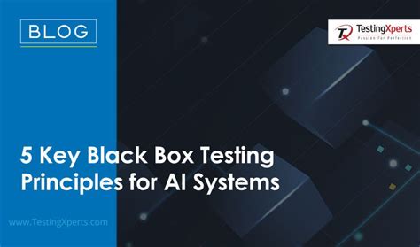 Testingxperts On Linkedin 5 Key Black Box Testing Principles For Ai