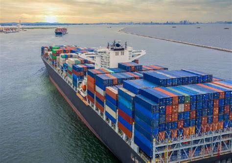 Textile Exports Fall 207 In June 2025 Apparel Up 123 Textile