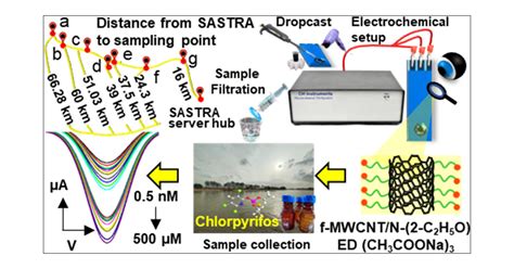 Quantification Of Chlorpyrifos Residues In Water Under Thermodynamically Favorable Electrodics