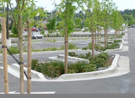 Shrubs For Parking Lot Islands Parking Lot Landscaping Ordinance