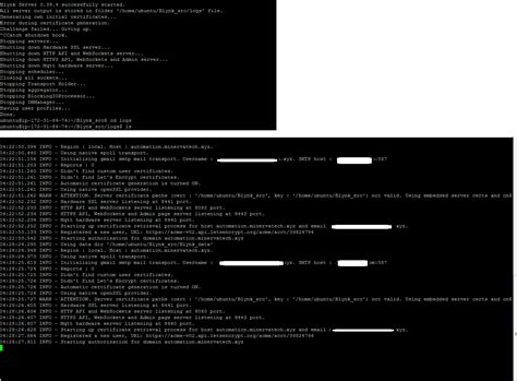 facing trouble starting blynk issue seems to be with certificate