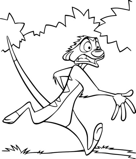 Timon Trči Bojanje Coloringlib
