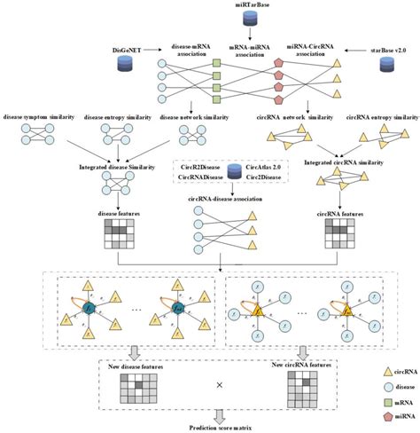 Figure 1 From Gatcda Predicting Circrna Disease Associations Based On Graph Attention Network