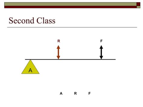Biomechanics Ppt