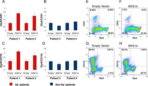 Identification Of Rps14 As A 5q Syndrome Gene By Rna Interference