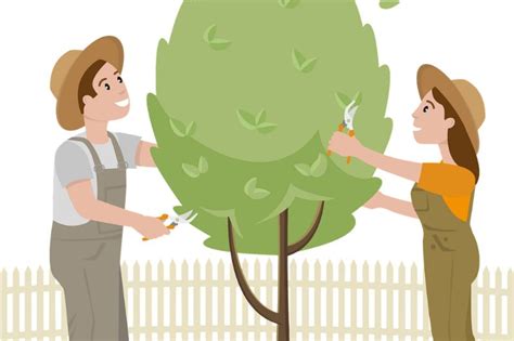 How To Trim A Tree