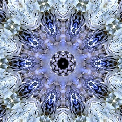 Blue Flowers Mandala Art