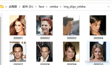 Pytorch项目实战之实时人脸属性检测系统from Torchvisiondatasets Import Celeba Csdn博客