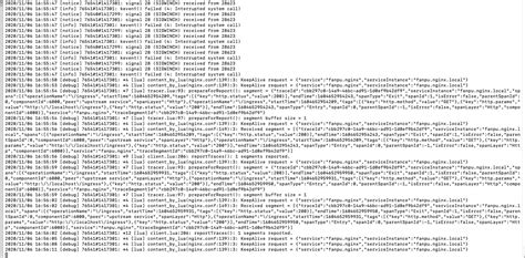Lua Skywalking Nginx Lua030 Traceid Repeat All The Time · Issue