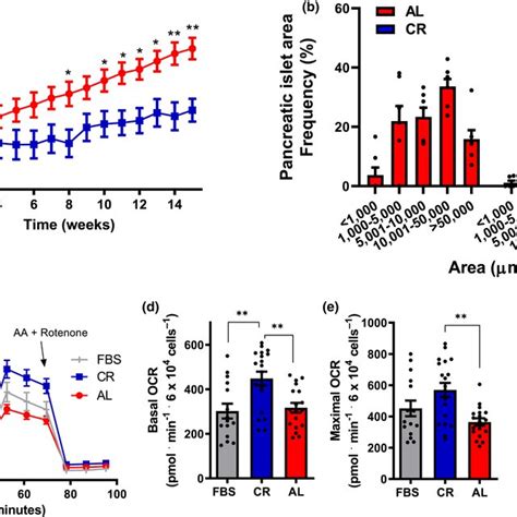 Female Lean Donor Plasma Increases β‐cell Mitochondrial Oxygen Download Scientific Diagram
