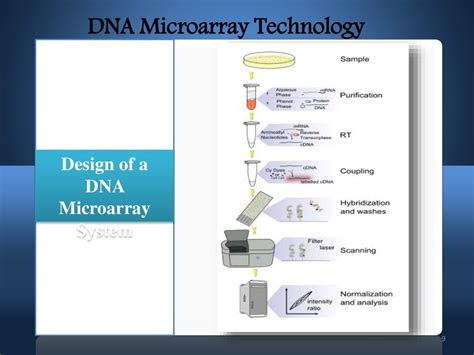 Microarray Dna And Snp Microarray