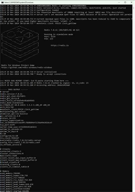 Redis Cve 2023 36824 How To Reproduce The Vulnerability