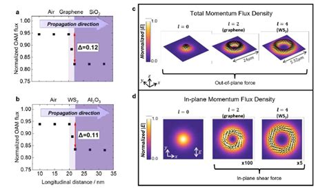 Numerical Simulations Of Angular Momentum Transfer To Graphene And