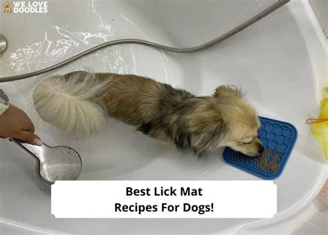 10 Best Lick Mat Recipes For Dogs 2023 We Love Doodles