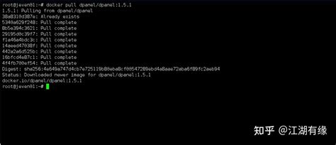 【docker管理工具】部署docker可视化管理面板dpanel 知乎