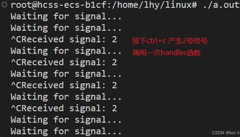 Linux Linux Linux Csdn