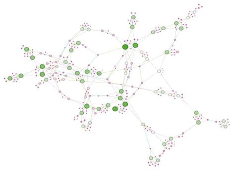 Kinship Networks With Individuals As Nodes And Matrimonial And Download Scientific Diagram