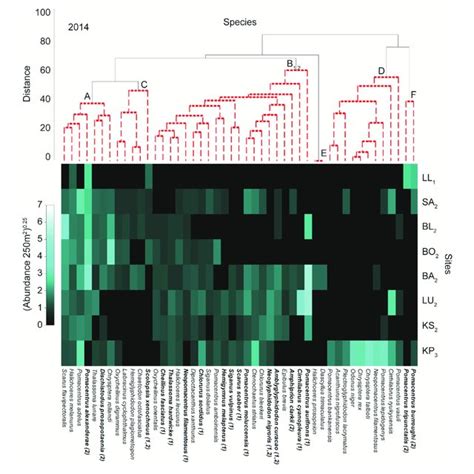 shade plot of relative species abundances in 2014 results of cluster