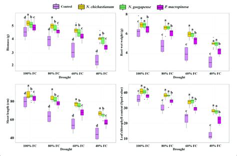The Positive Effects Of Halotolerant Endophytic Fungi Species On