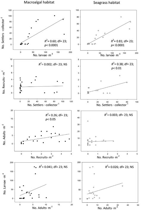 Regression Analyses Between Successive Life Stages At Each Habitat Download Scientific Diagram
