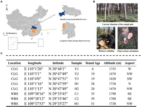 Frontiers | Tree age affects carbon sequestration potential via altering soil bacterial ...