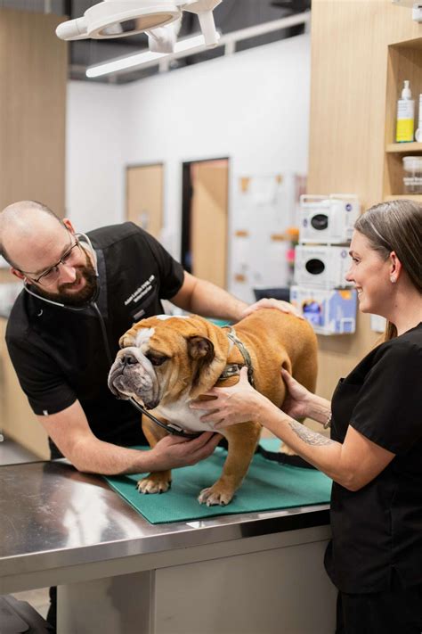 Meet Adam Lassin Canvasrebel Magazine