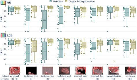 figure 3 from semantic segmentation of surgical hyperspectral images