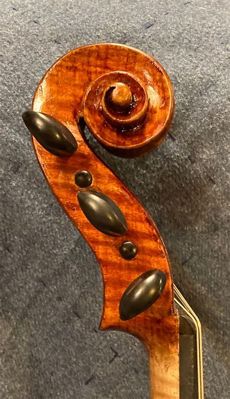 5 String Fiddle Bluefiddles West Wind Strings