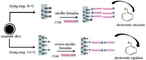 Scheme Aggregation Of CTAB On Magnetite Silica Download Scientific Diagram