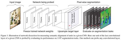 神经网络的可解释性——network dissection quantifying interpretability of deep