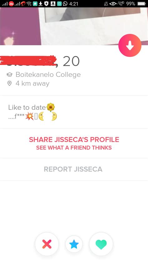 What Does This Bio Mean Rindiangirlsontinder