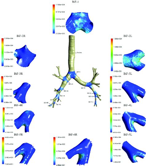 Turbulence Energy Dissipation M 2 S 3 Realizable K ε Model