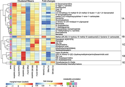 Heatmap Of Clustered Marginal Means For Groups At Baseline And YFU Download Scientific Diagram