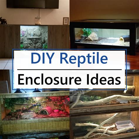 Diy Reptile Enclosure Furniture At George Bousquet Blog