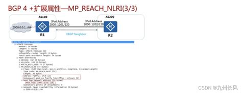 Mp Bgp报文详解 Csdn博客