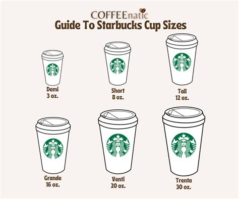 All Starbucks Coffee Cups Sizes And Measurement Explained