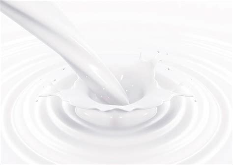 Squirting Là Gì Những Cách Giúp Phụ Nữ Squirting Vlady