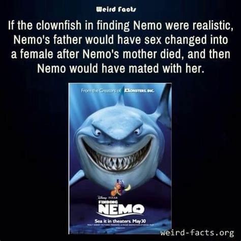 Weird Facts If The Clownfish In Finding Nemo Were Realistic Nemos