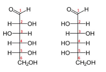 Monosaccharides Definition Structure Examples Video Lesson Transcript Study Com