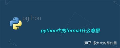 python中的format什么意思 CSDN博客 python中的format什么意思 CSDN博客