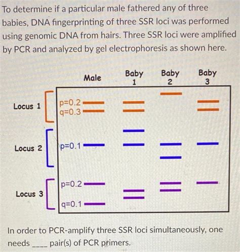 Solved To Determine If A Particular Male Fathered Any Of
