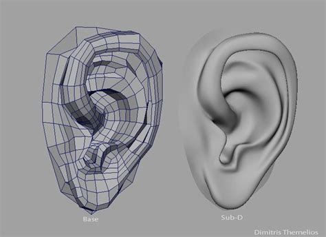 Research For Modelling The Ear Artofit