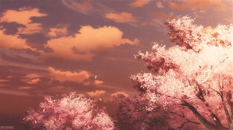 Anime Cherry Blossom Background  ~ Crystal Ice Beautiful Cherry