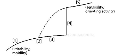 modeling morphogenesis understanding educational psychology a late